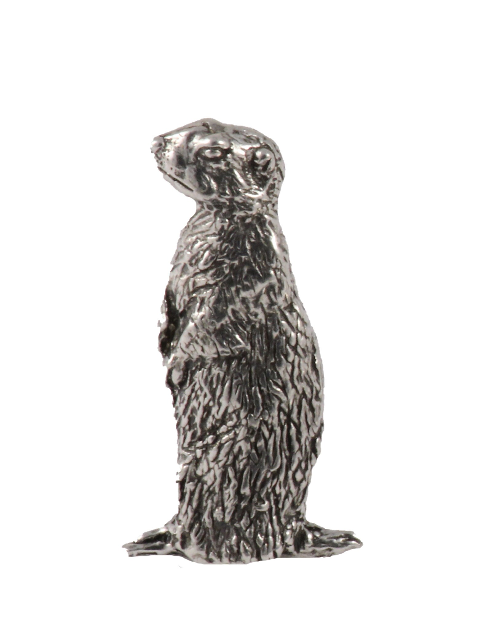 Creative Pewter Designs Groundhog Woodchuck Pewter Lapel Pin - Etsy