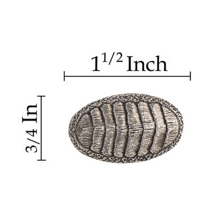 Chiton Pin, Pewter, Chiton, Shell, Ocean, Beach, Shellfish, Lapel, Hat ...