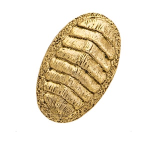 Chiton Pin, Pewter, Chiton, Shell, Ocean, Beach, Shellfish, Lapel, Hat ...