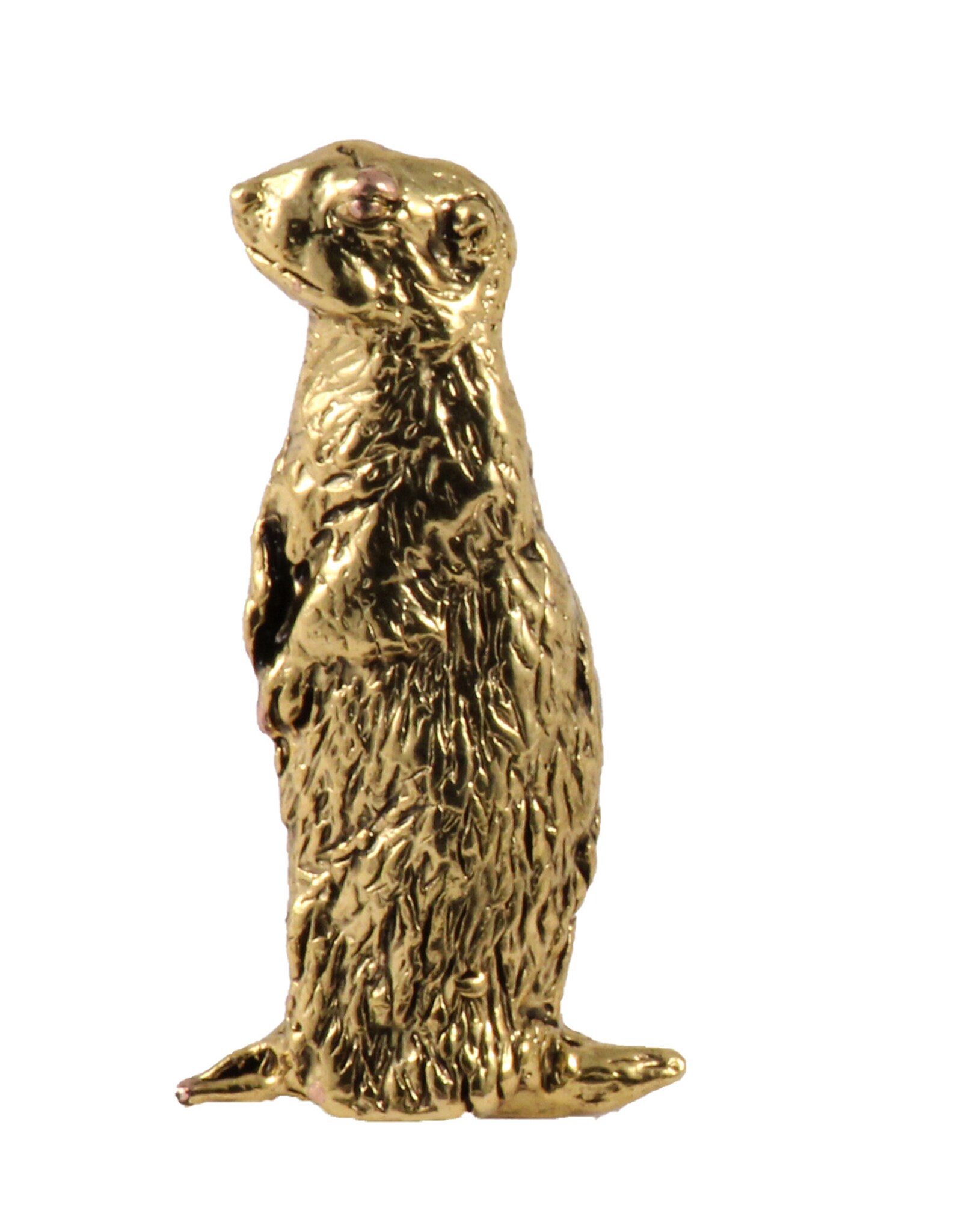 Creative Pewter Designs Groundhog Woodchuck Pewter Lapel Pin - Etsy