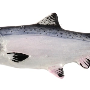 Chinook Salmon Pin, King Salmon, Pewter, Large, Lapel, Brooch, Fishing ...
