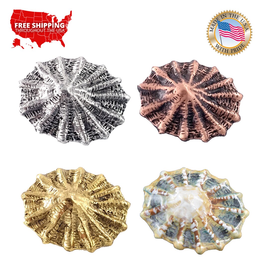 Limpet Shell Pin, Pewter, Limpet, Shell, Ocean, Marine, Sea, Beach ...