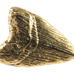 Prehistoric Shark Tooth Pin, Pewter, Lapel, Hat, Pins, Brooch, Jewelry ...