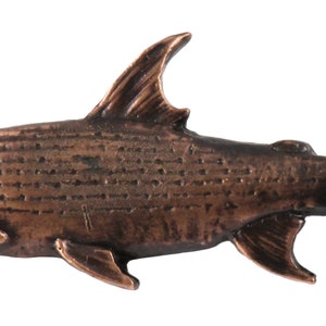 Creative Pewter Designs Tigerfish African Fish Pewter Lapel Pin or ...