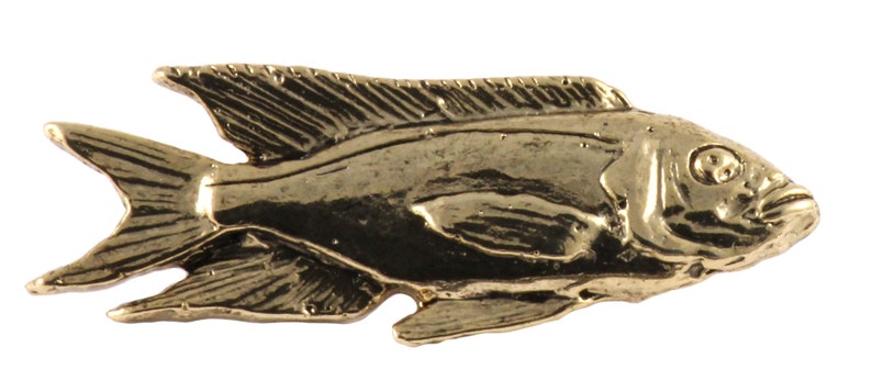 Creative Pewter Designs African Cichlid Fish Pewter Lapel Pin or Magnet ...
