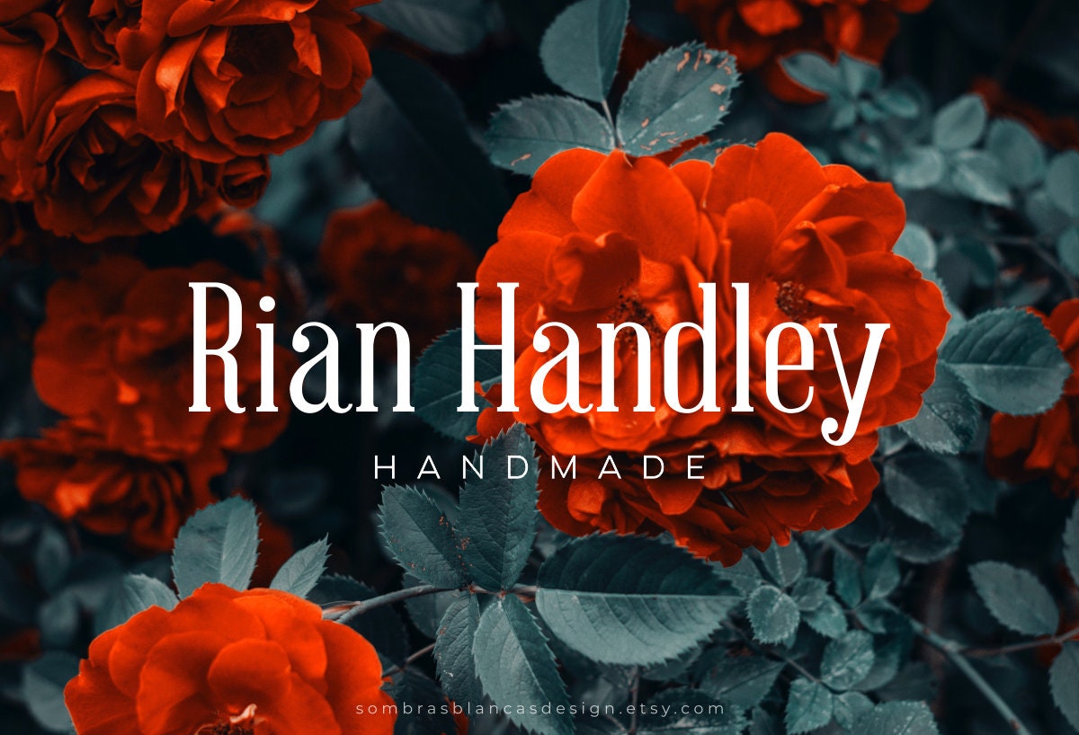 Premade Logo Design Vector Files Included Handwritten | Etsy