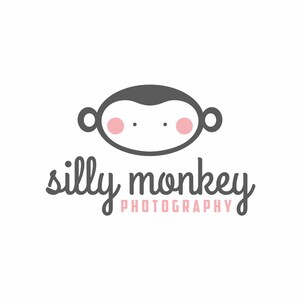 Custom Logo Design (silver Pack - 2 Concepts) - Professional Branding ...