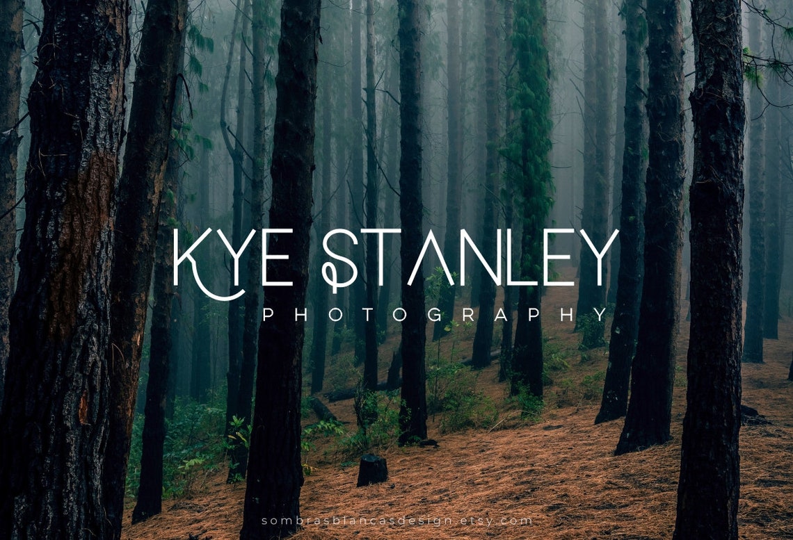 Premade Logo Design Vector Files Included Handwritten | Etsy