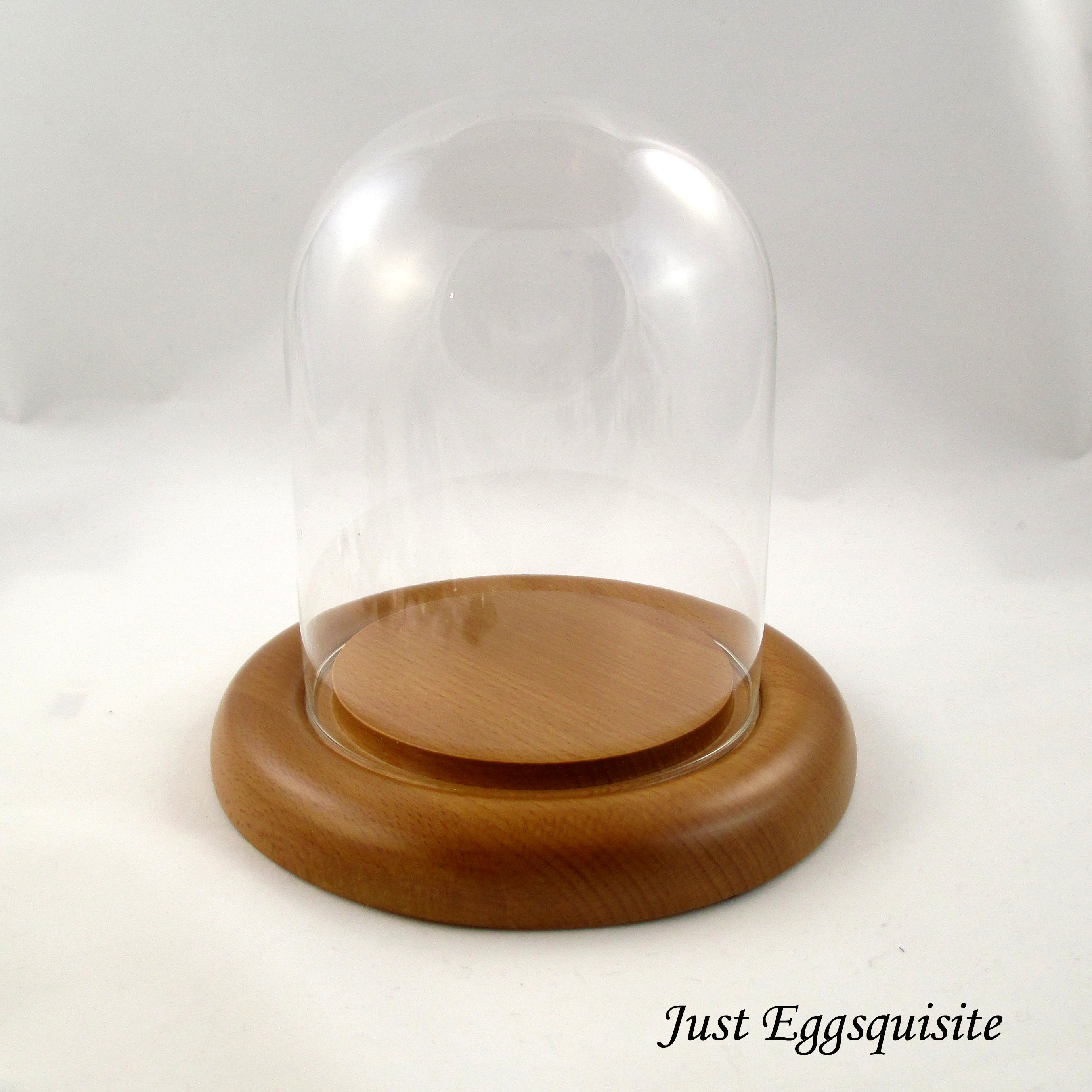 Large Glass Dome Display Glass Dome Stand Glass Cloche - Etsy UK