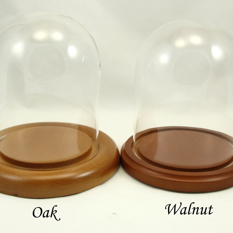Glass Dome Display - Etsy