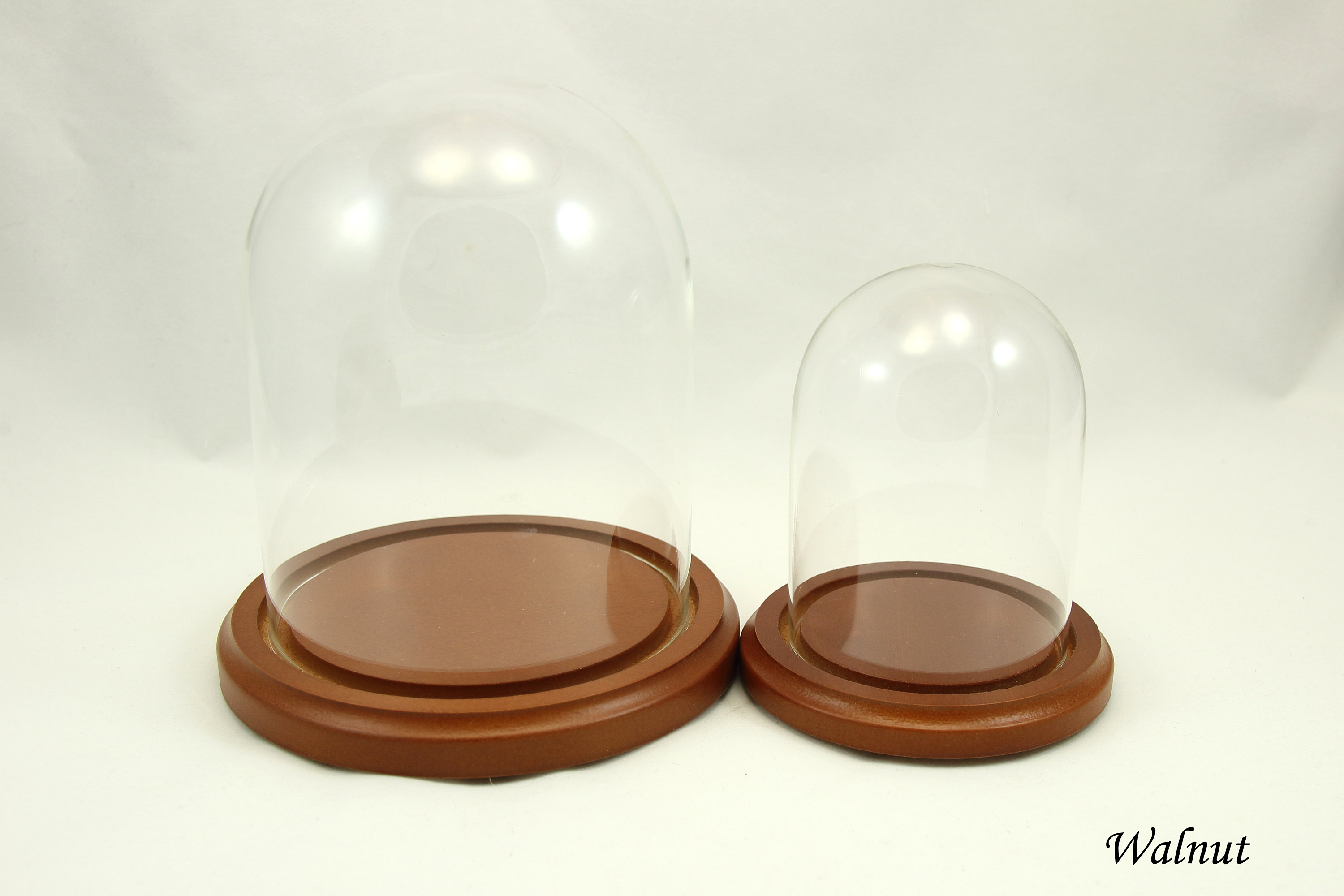 Large Glass Dome Display Glass Dome Stand Glass Cloche - Etsy UK