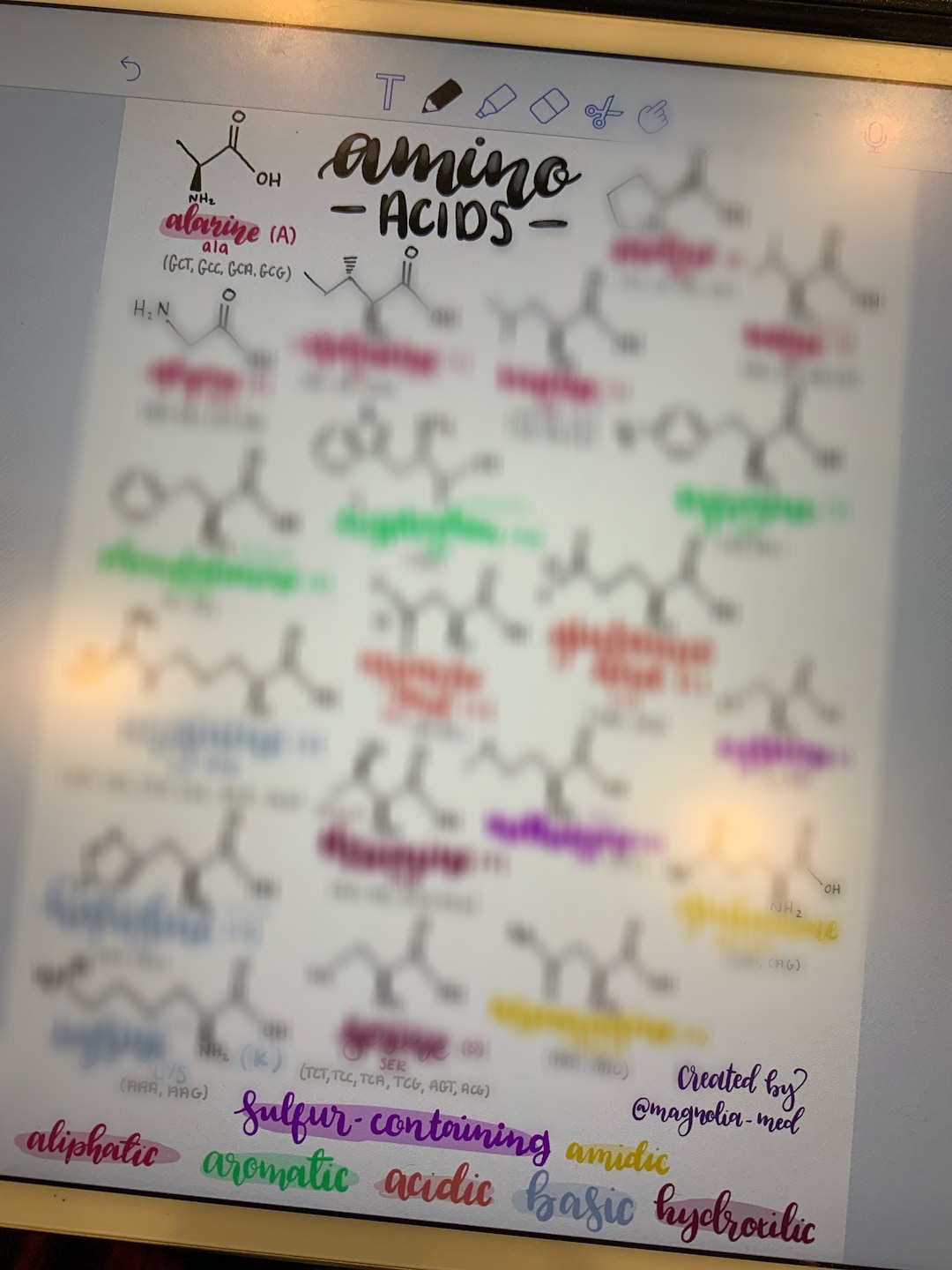 Biochemistry Amino Acids Reference Sheet - Etsy