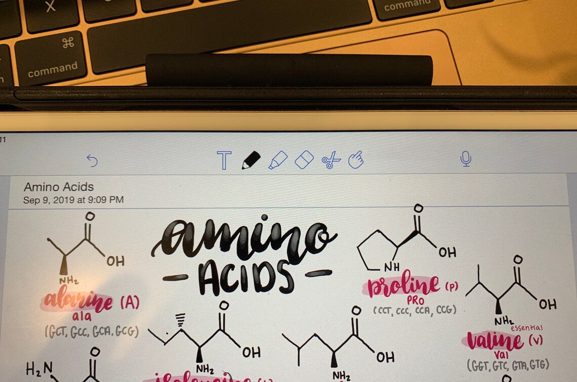 Biochemistry Amino Acids Reference Sheet - Etsy