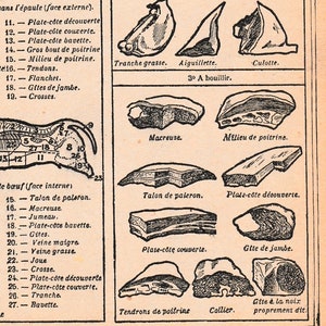 Antique French Print Dictionary Page 1920s Illustration Butcher Cuts of ...