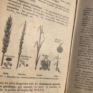 Antique French Book Agriculture Horticulture Practical Farming Text ...