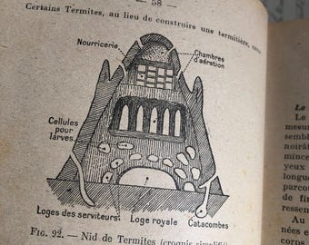 Vintage French Science Natural History Science Book - Etsy