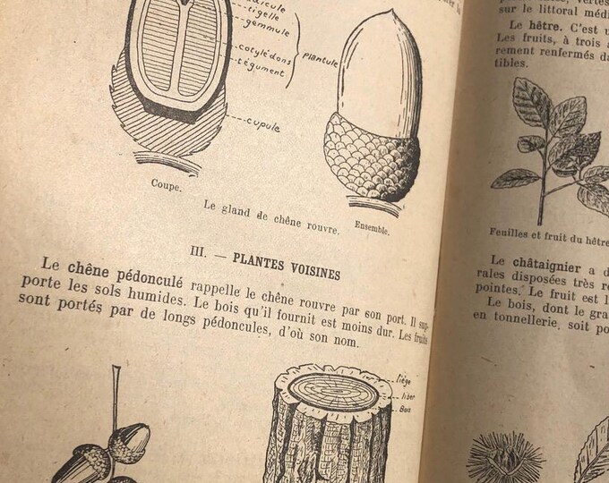 Vintage French Science Natural History Science Book - Etsy