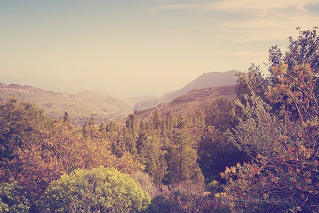 Landscape Photography Soft Warm Tones Nature Photograph - Etsy