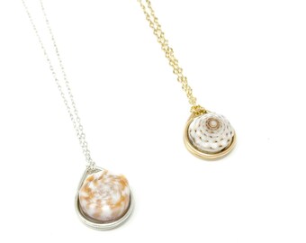 Authentic Hawaiian Puka Shell Necklace - Etsy