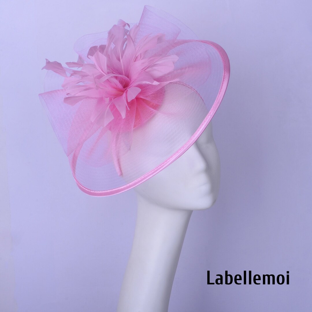Big Light Pink Fascinator Feather Hatinator Kentucky Derby Hat Ascot ...