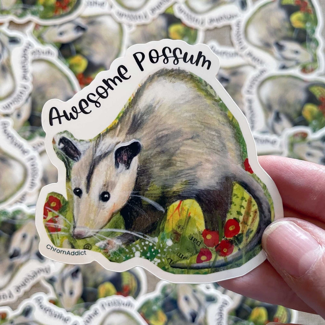 Awesome Possum Sticker - Funny Possum Sticker, Cute Opossum Sticker ...