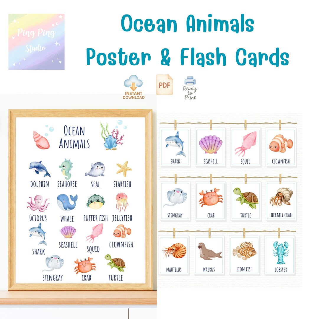 Ocean Animals Poster and Flash Cards: Sea Life Learning Set (printable ...