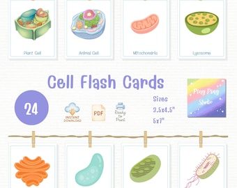 Cell Organelles Flashcards – Biology Learning Resource (PDF Set) - Etsy