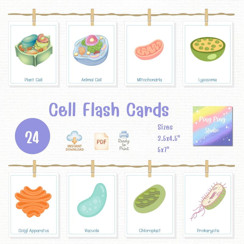 Science Organelle - Etsy UK