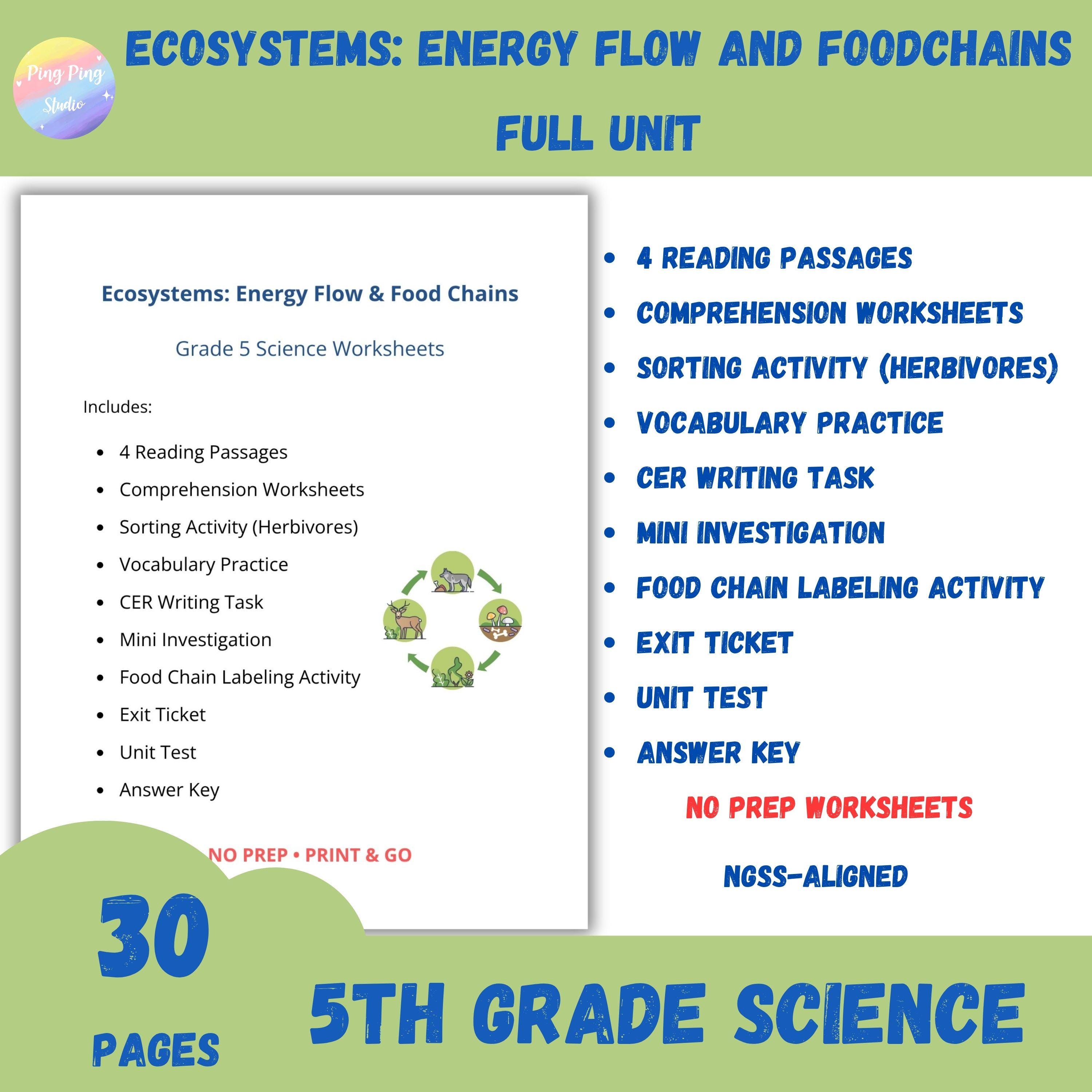 Ecosystems Energy Flow & Food Chains Worksheets | 5th Grade Science ...