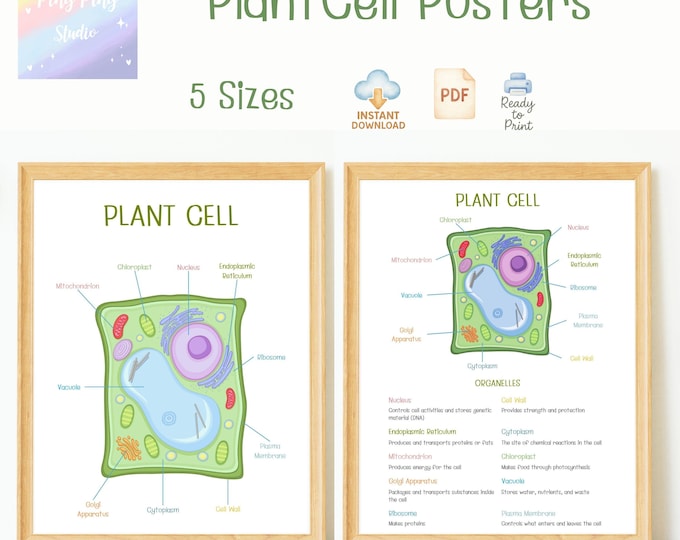 EDUCATIONAL- Plant Cell Poster - Etsy Canada