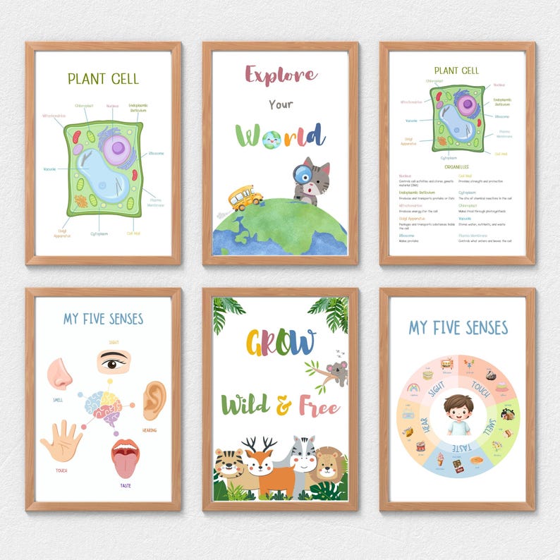 Plant Cell Posters for Kids | Science Biology Diagram PDF | Educational ...