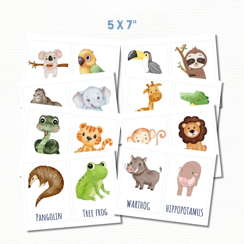 Jungle Animal Flash Cards Printable for Kids - 16 Watercolor Safari ...