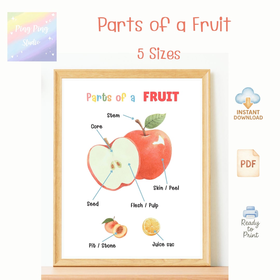 Parts of a Fruit Poster | Educational Fruit Diagram | Printable Science ...