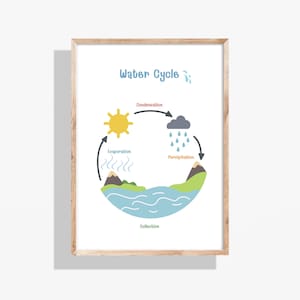 Water Cycle Poster | Educational Science Classroom Wall Art | Kids ...