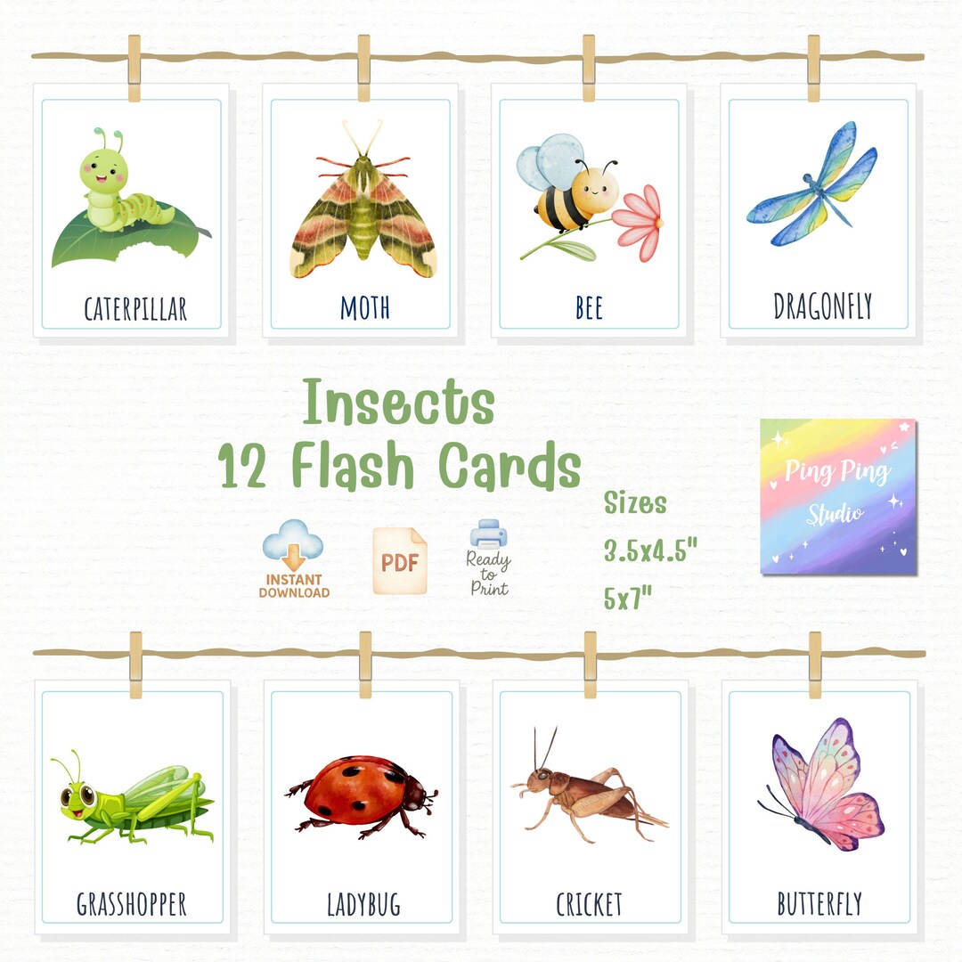 Insect Flash Cards Printable for Kids - 12 Watercolor Bugs Learning ...