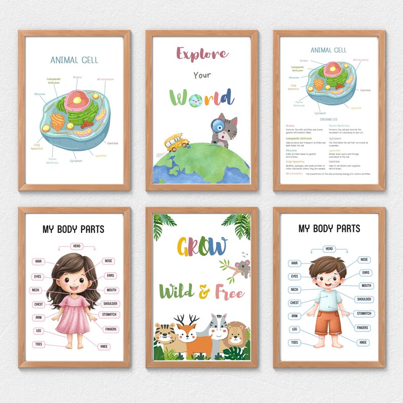 Animal Cell Posters for Kids | Biology Science Wall Art | Educational ...