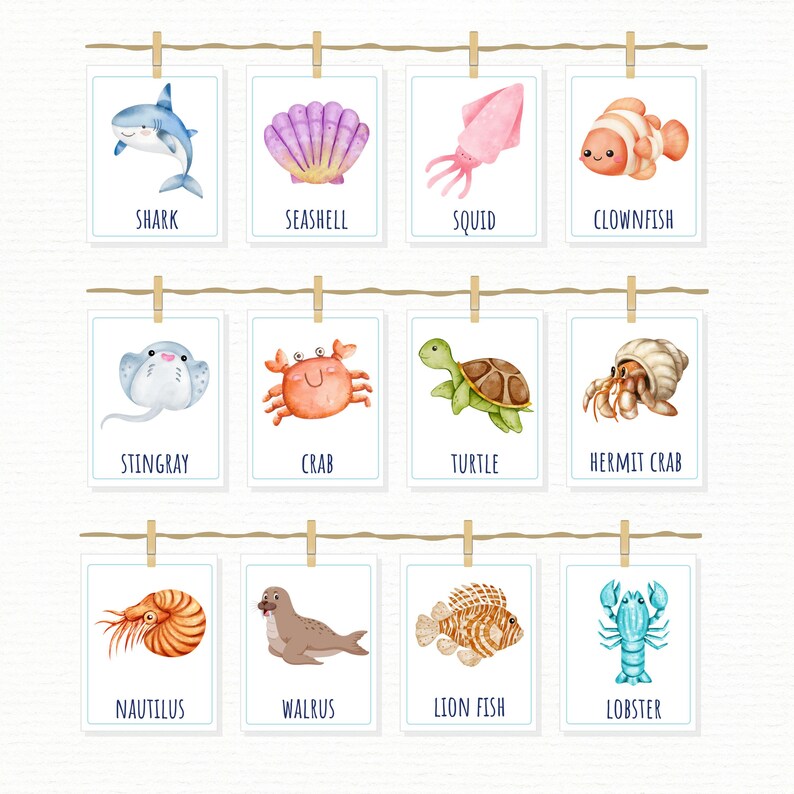 Ocean Animal Flash Cards Printable for Kids - 20 Watercolor Sea ...