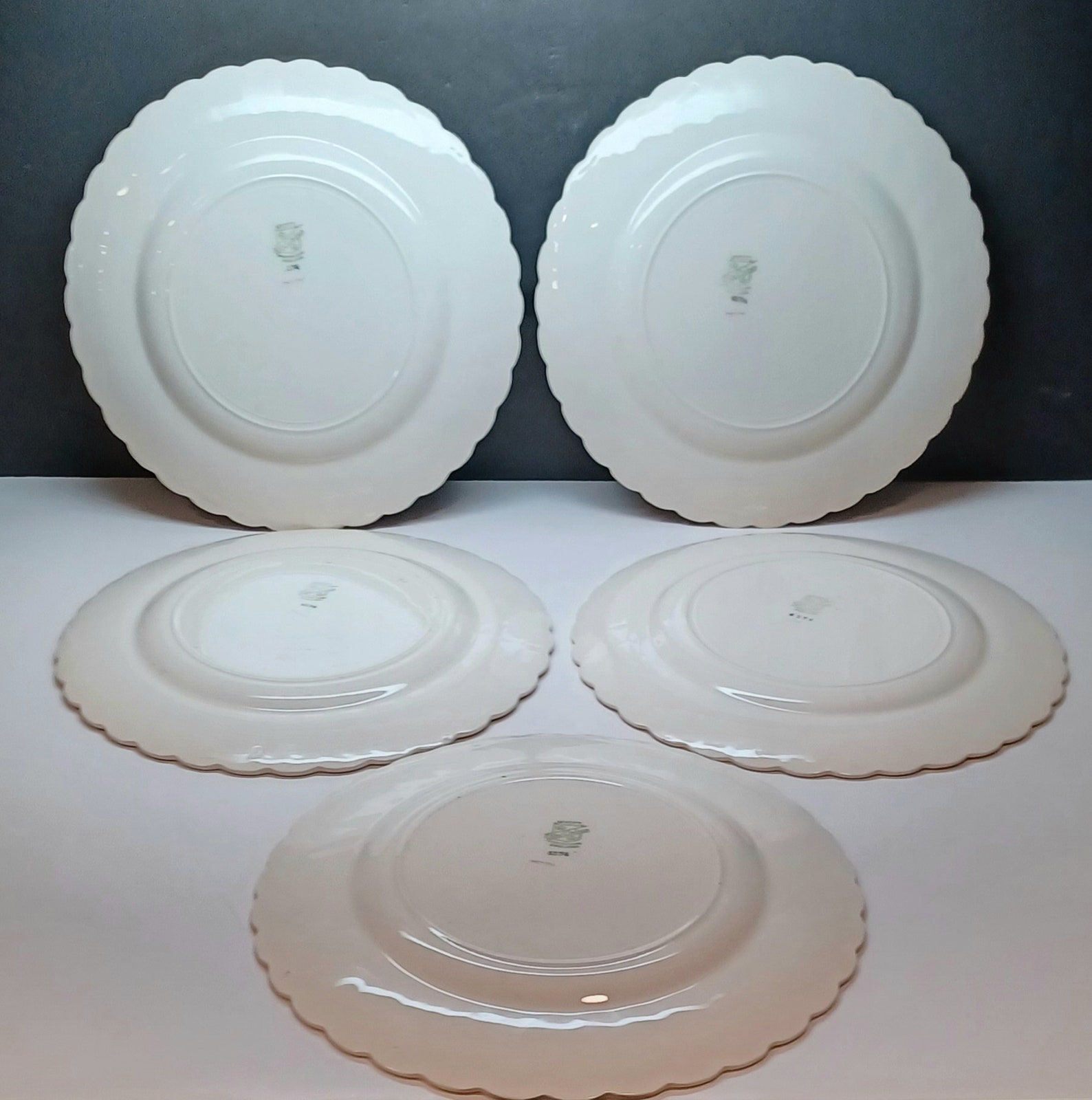 Vintage Old Chelsea Petite Pink Extra Large Dinner Plates Set of 5 ...