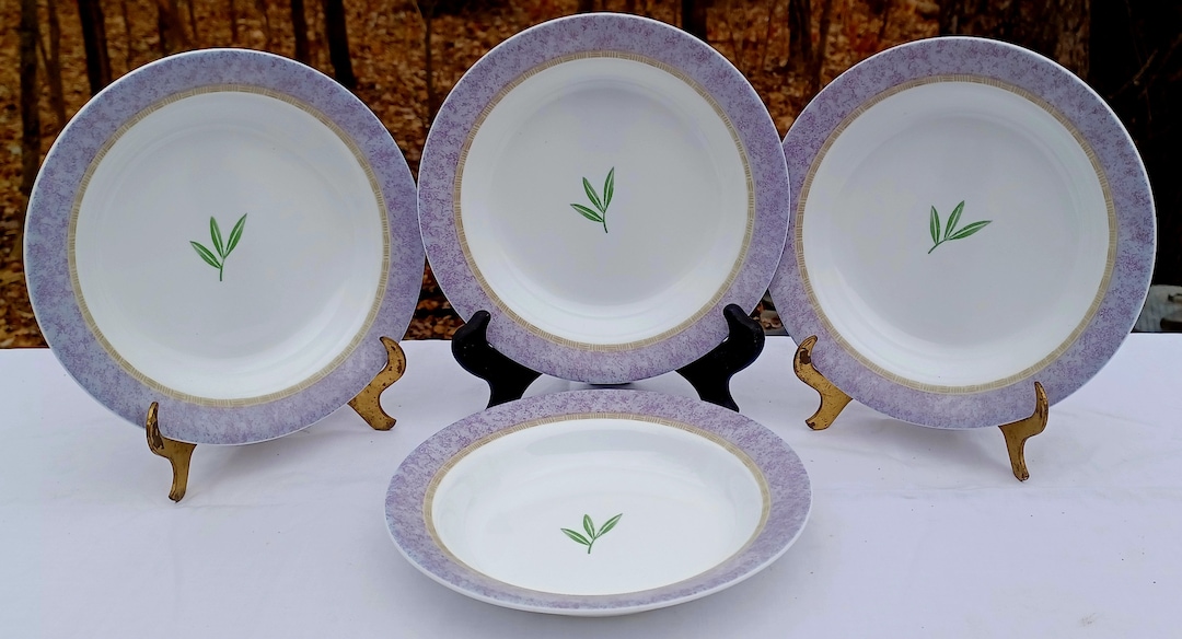 Corelle Bamboo Rimmed Soup Bowls Dinnerware Set of 4 Soup Bowls Purple ...