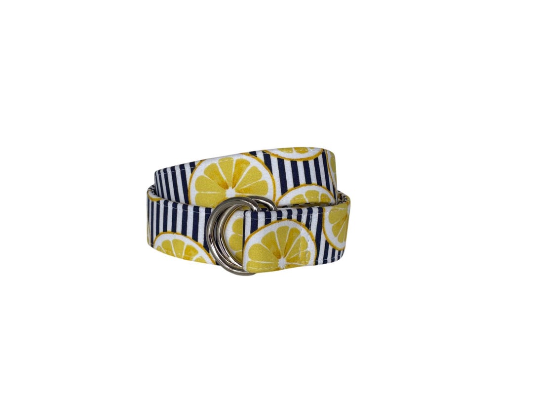 Lemon and Stripes Fabric D-ring Style Belt, Spring Belt, Fabric Belt - Etsy