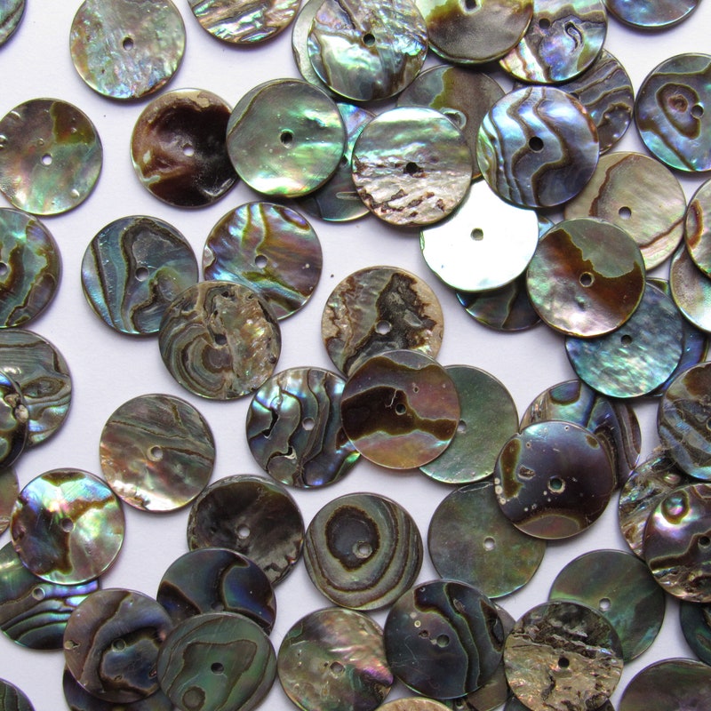 Abalone Buttons - Etsy
