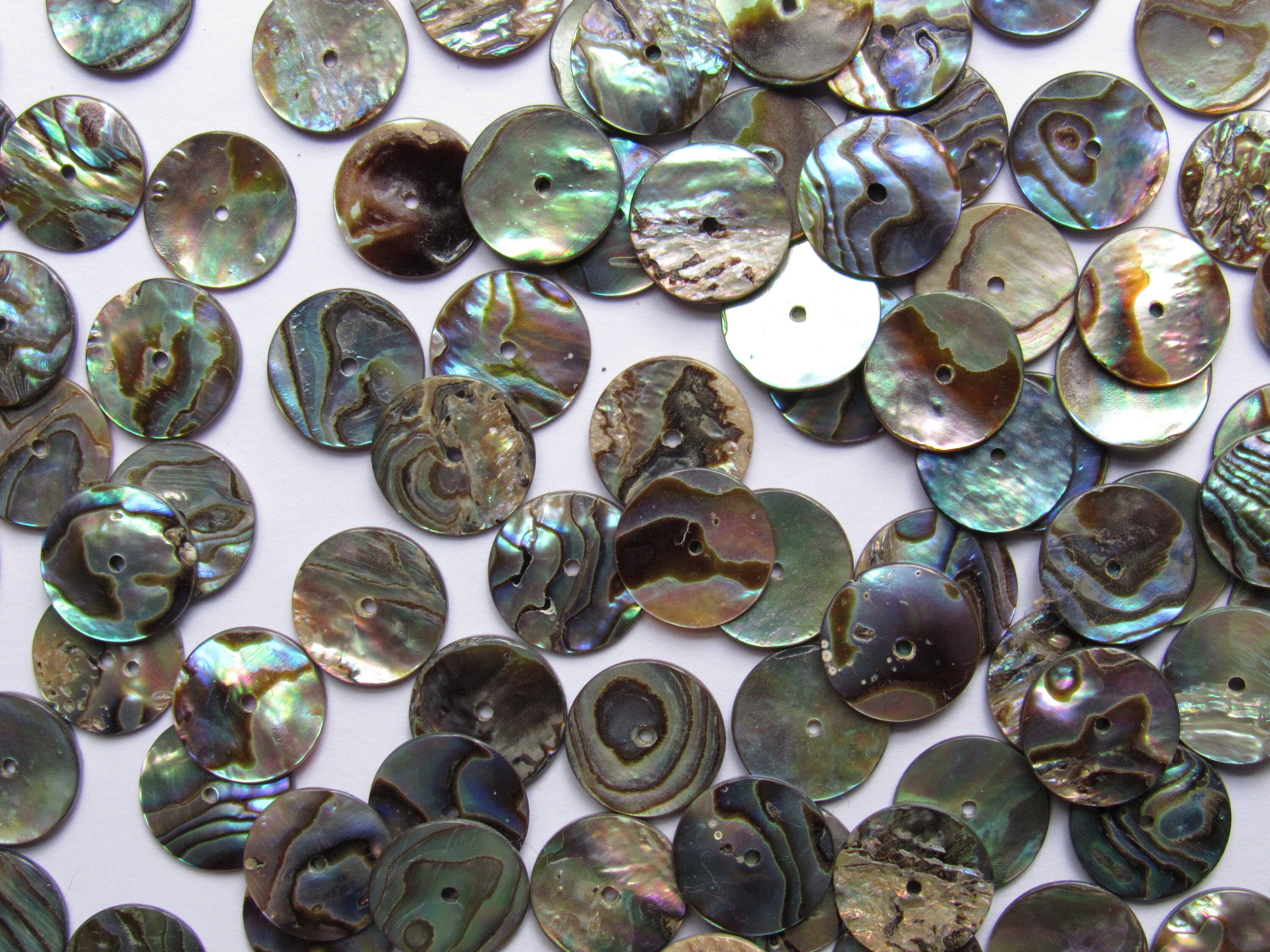 Natural Abalone SHELL BEADS 12mm Flat Round Center Drilled 1mm - Etsy ...
