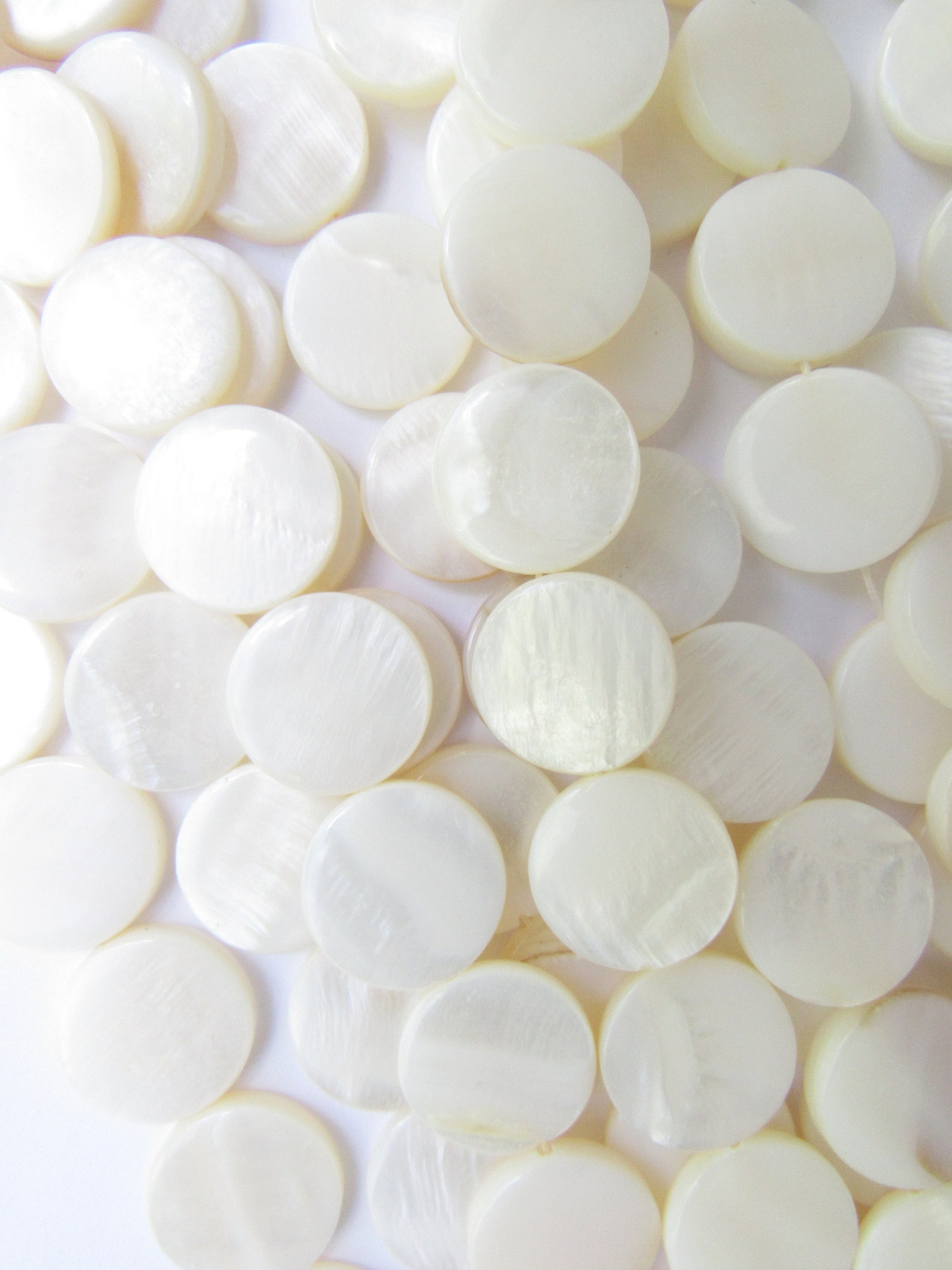 White Shell BEADS Bead Supply 15mm Flat COIN Flat Round White - Etsy