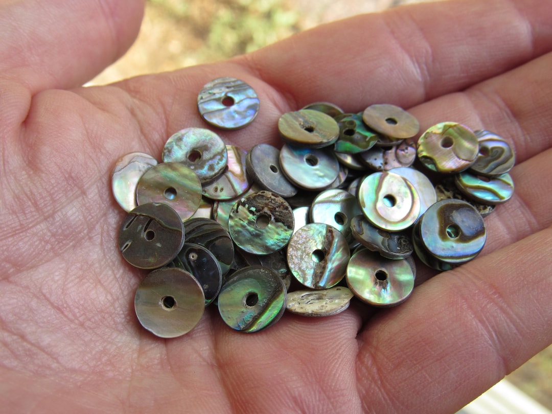 Natural Abalone Shell Beads: 10mm Flat Round, Iridescent Jewelry Supply ...