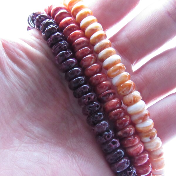 Rare Sea Shells - Etsy