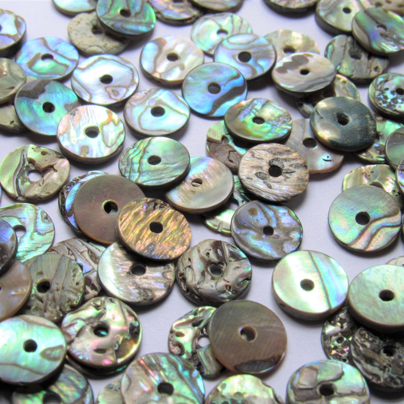 Abalone - Etsy