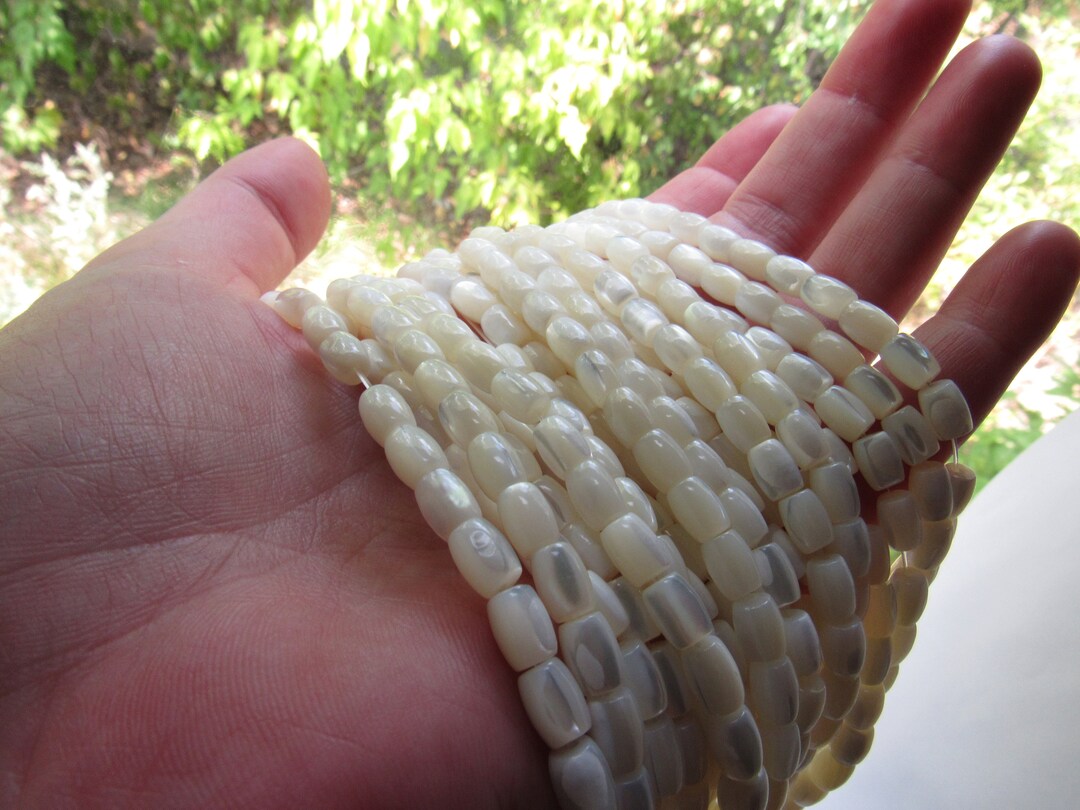 WHITE TROCHUS Shell BEADS 7x5mm Barrel Length Drilled Natural Bead ...