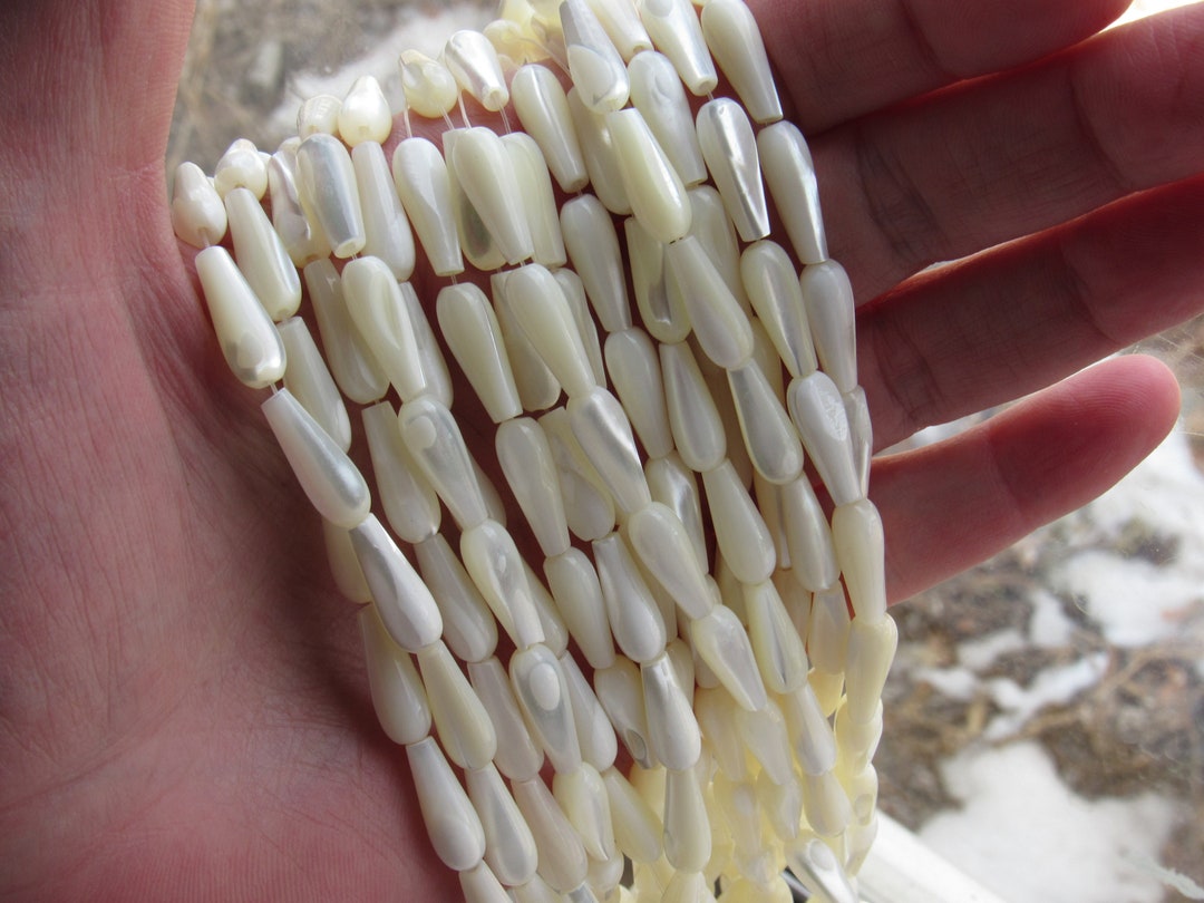 TROCHUS Shell BEADS 15x6mm longitud lágrima perforada hebras - Etsy España