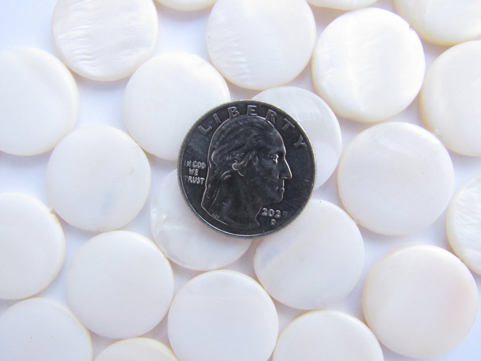 Natural White Shell COIN BEADS 20mm Flat Round Bead Supply Diy Making ...