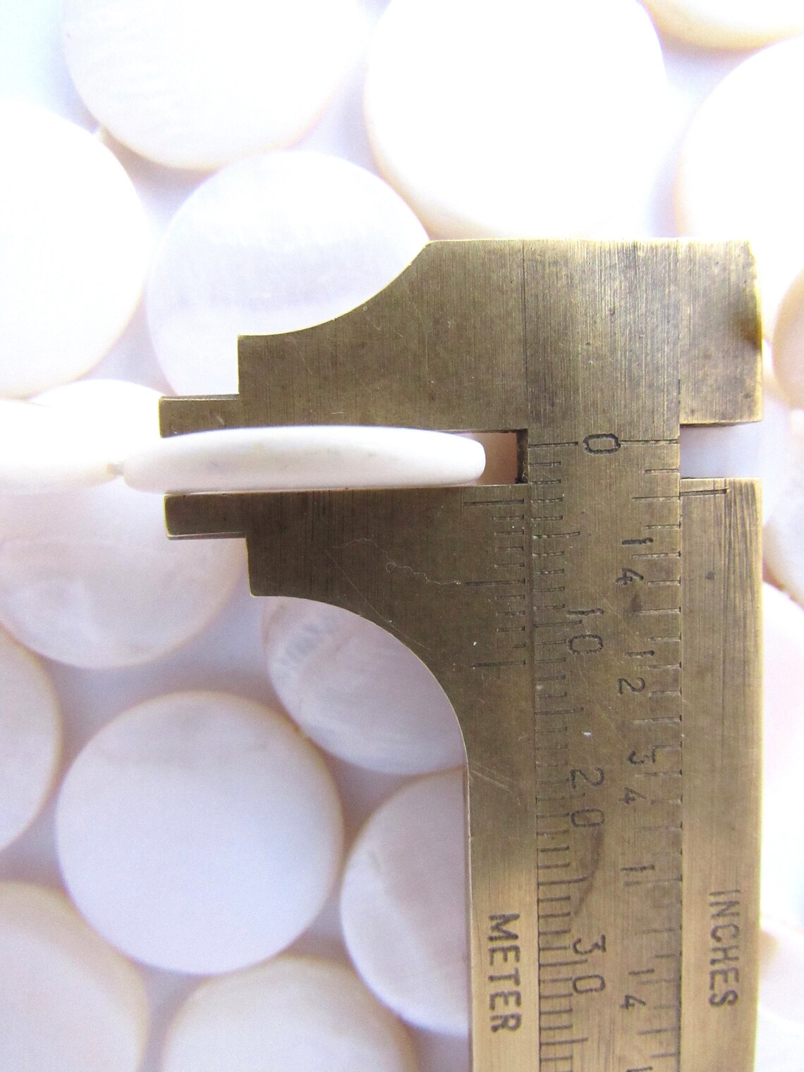 Natural White Shell COIN BEADS 20mm Flat Round Bead Supply Diy Making ...
